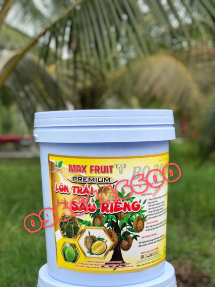 MAX FRUIT - PREMIUM LỚN TRÁI SẦU RIÊNG XÔ 20KG - Phân Bón King Farm - Chuyên Phân Bón Cây Kiểng ...