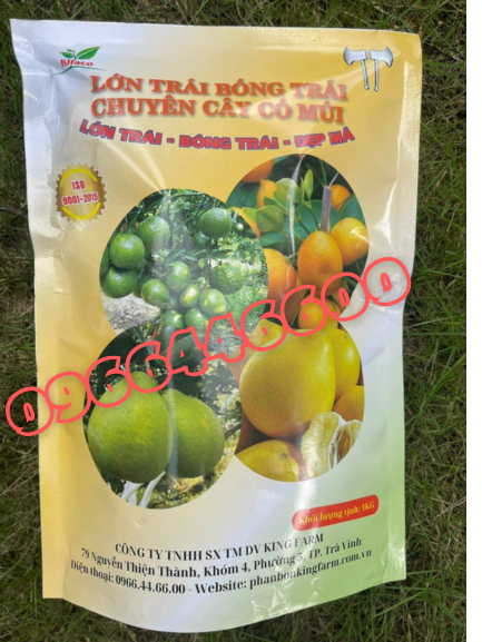 LỚN TRÁI BÓNG TRÁI CHUYÊN CÂY CÓ MÚI GÓI 1KG - Phân Bón King Farm ...