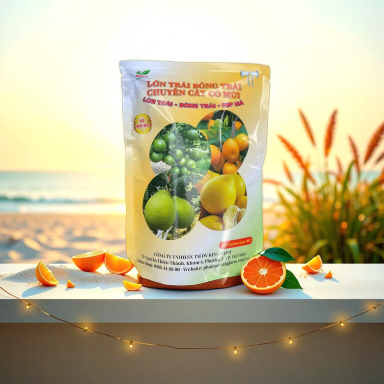 PHÂN BÓN LỚN TRÁI BÓNG TRÁI CHUYÊN CÂY CÓ MÚI OKF4 - Phân Bón King Farm ...
